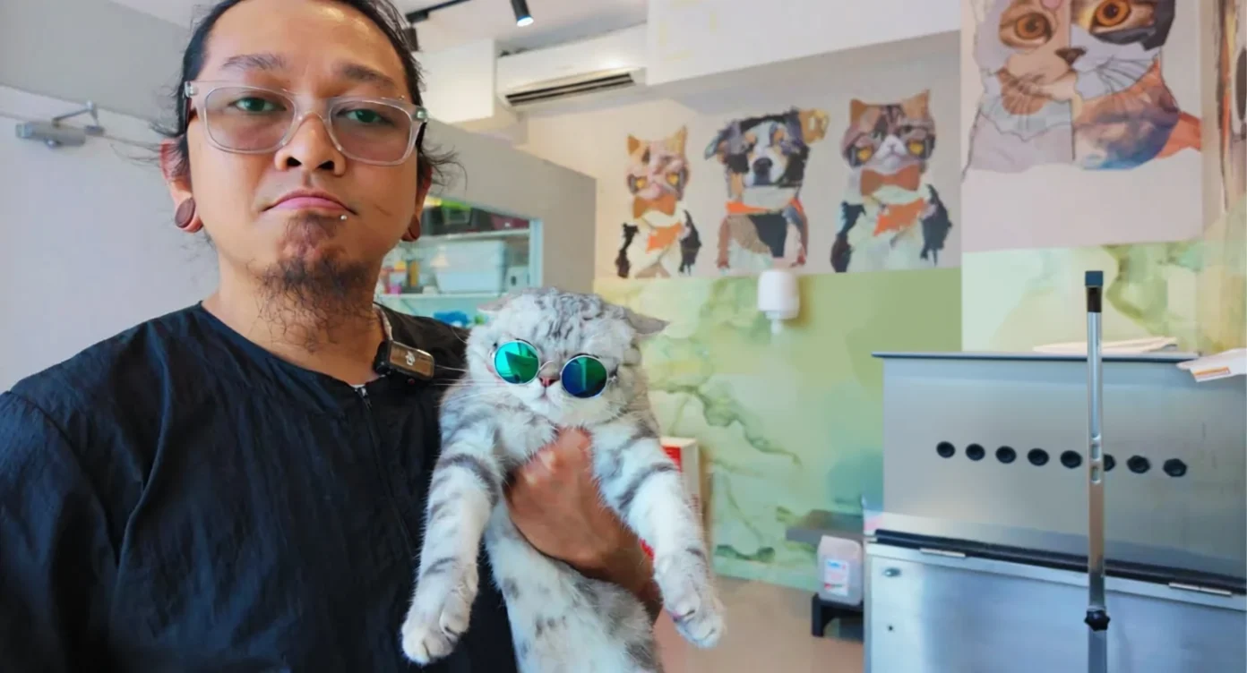 Marble the Cat’s Relaxing Grooming