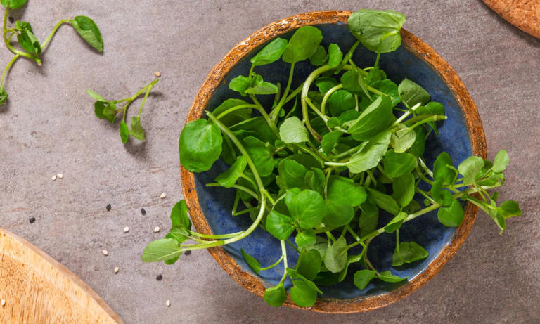 Watercress has been hailed healthiest vegetable in the world by health ...