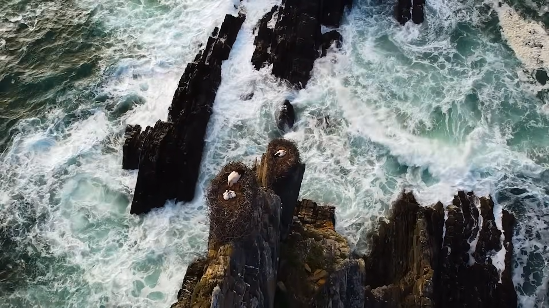 This 'ghost island' appeared on maps until 2012 - then it vanished