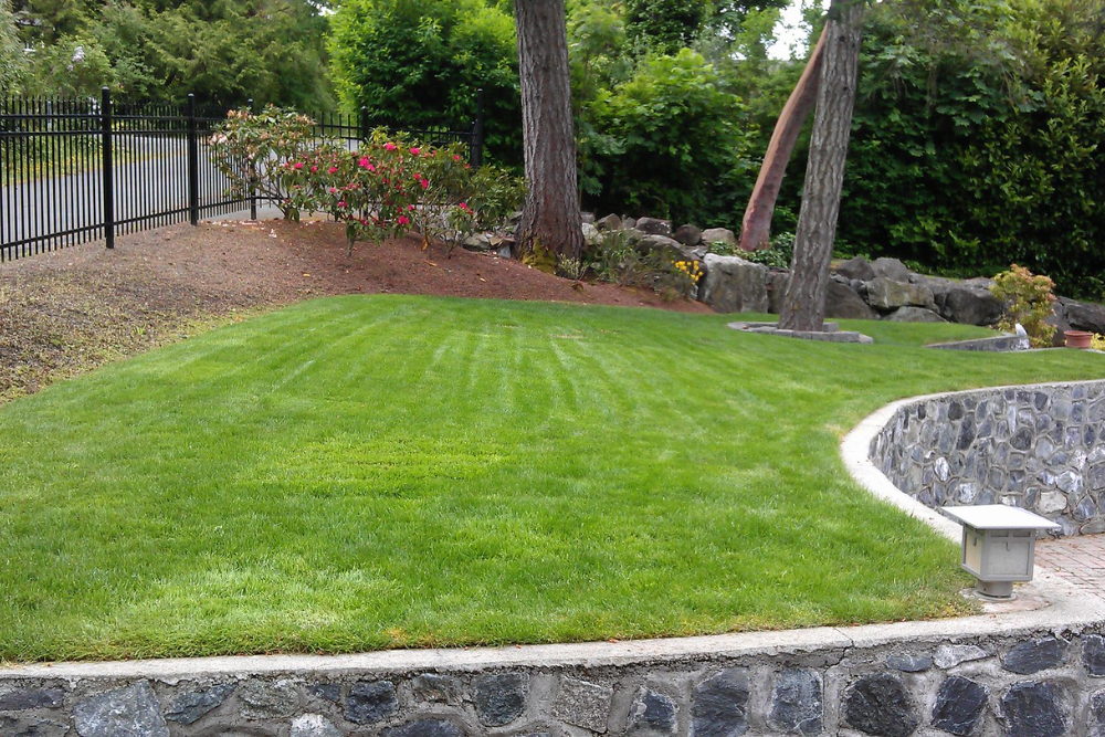15 DIY paver pathway ideas to elevate your outdoor space