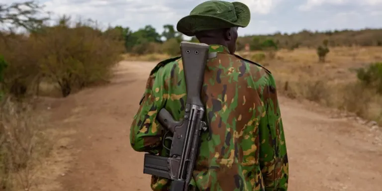 Russia accused of luring Africans into ‘deadly war trap’