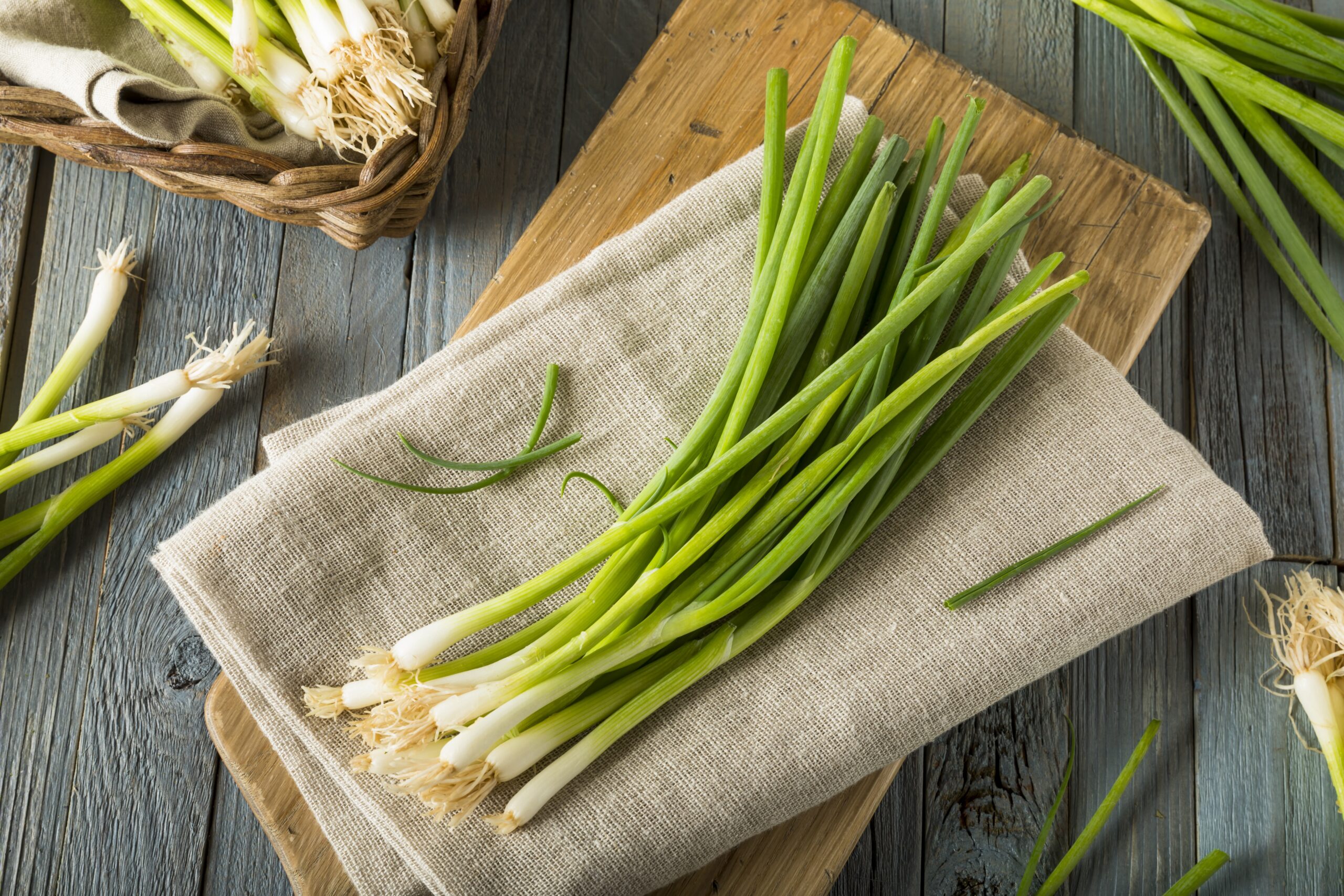 Cébette : origine, bienfaits santé, recettes et conservation
