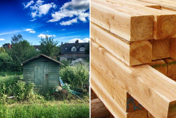 15 tips for choosing the toughest wood for your outdoor shed