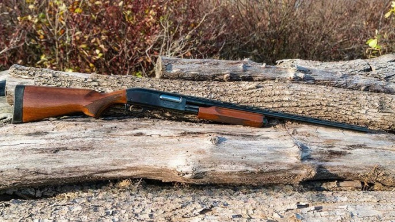 15 guns that still make sense no matter how trends change