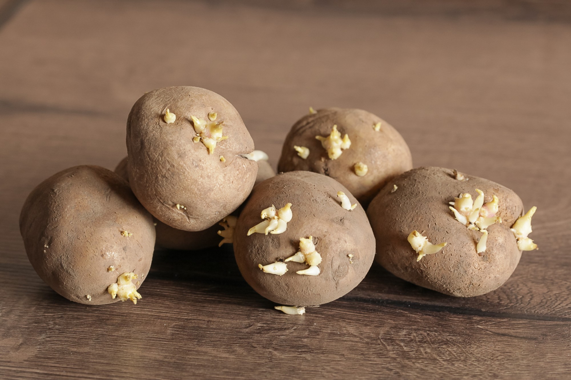 As batatas da minha despensa deram brotos: é isso o que você deve fazer ...