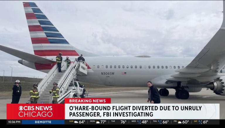 Crazed passenger on American Airlines flight from JFK forces emergency ...