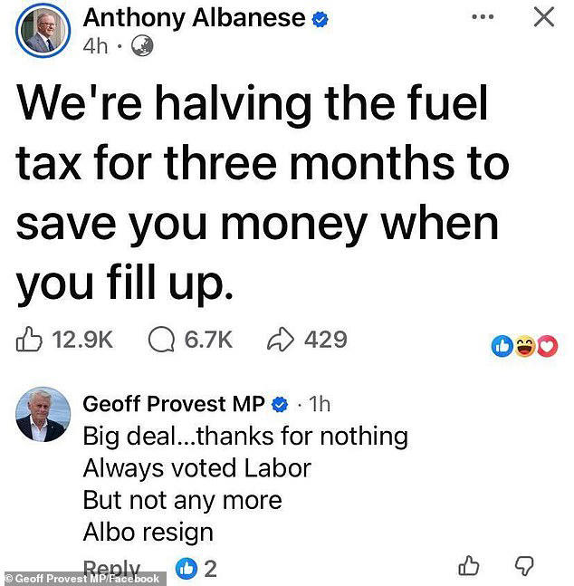 Nationals MP in bizarre meme-worthy gaffe after Anthony Albanese ...