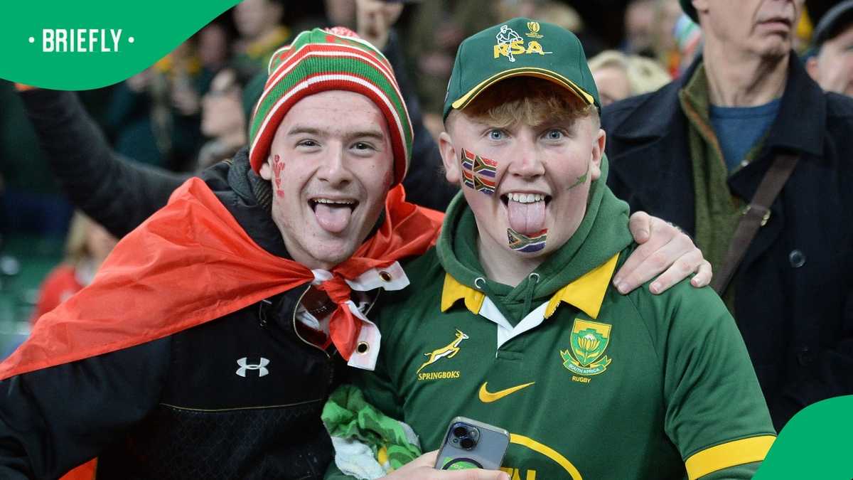 Springboks Nations Championship sponsorship faces uncertainty amid ...