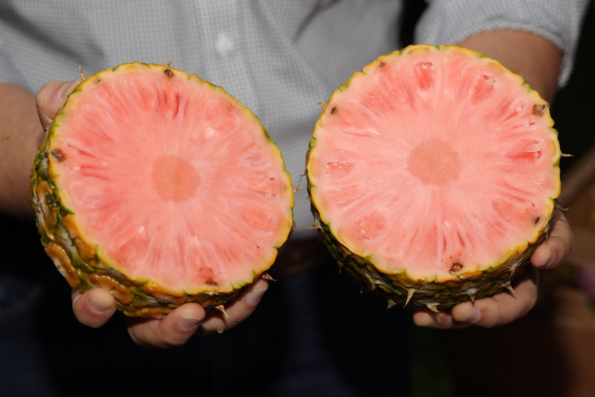 The most expensive fruits in the world