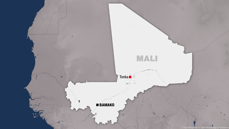 Mali : le Jnim assassine un responsable d'une organisation de jeunes ...