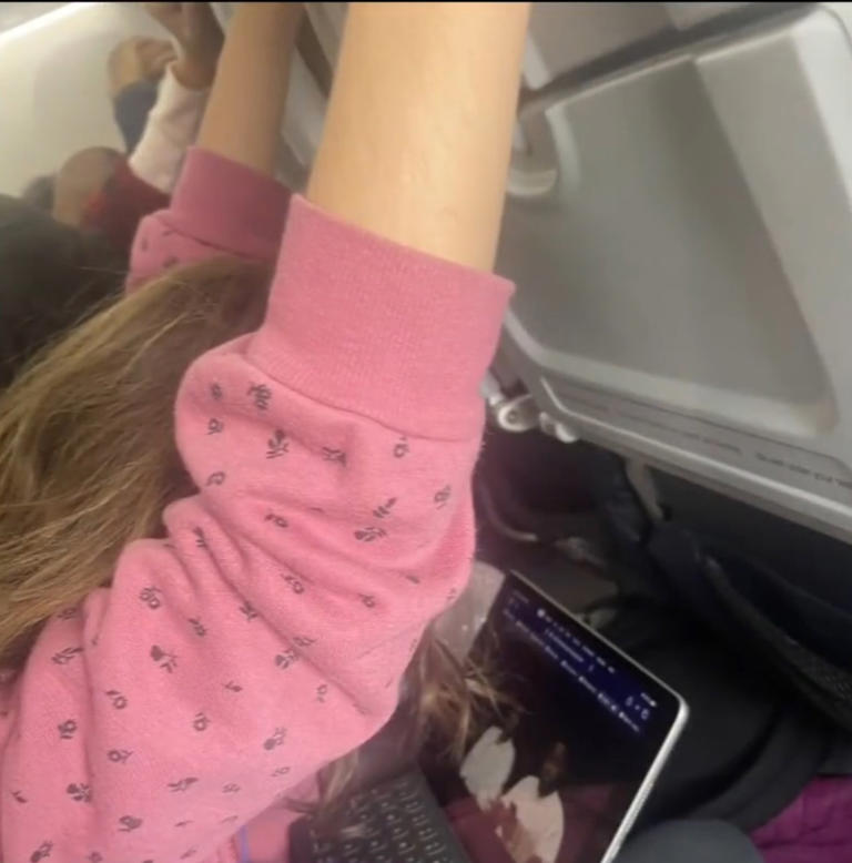 Crazed passenger on American Airlines flight from JFK forces emergency ...