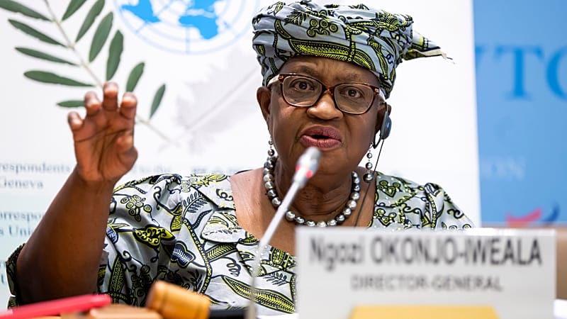 Cameroun : la directrice générale de l'OMC garde espoir après l'échec ...