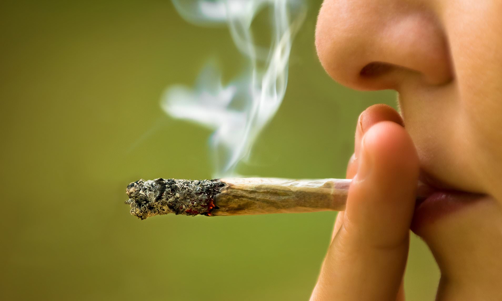Long-term cannabis use changes brain structure and leaves users unable ...