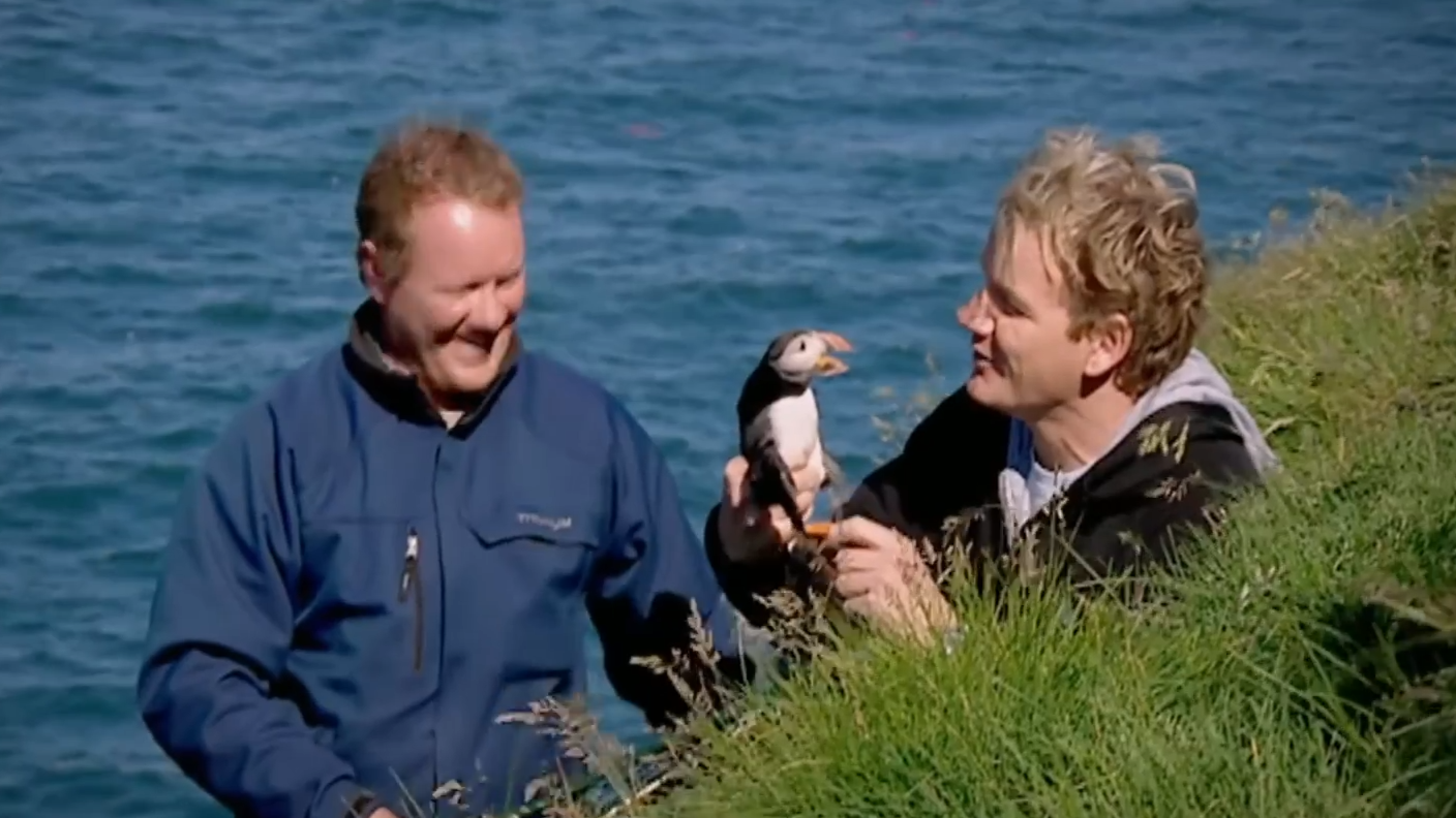 Watch how a penguin attacked Gordon Ramsay