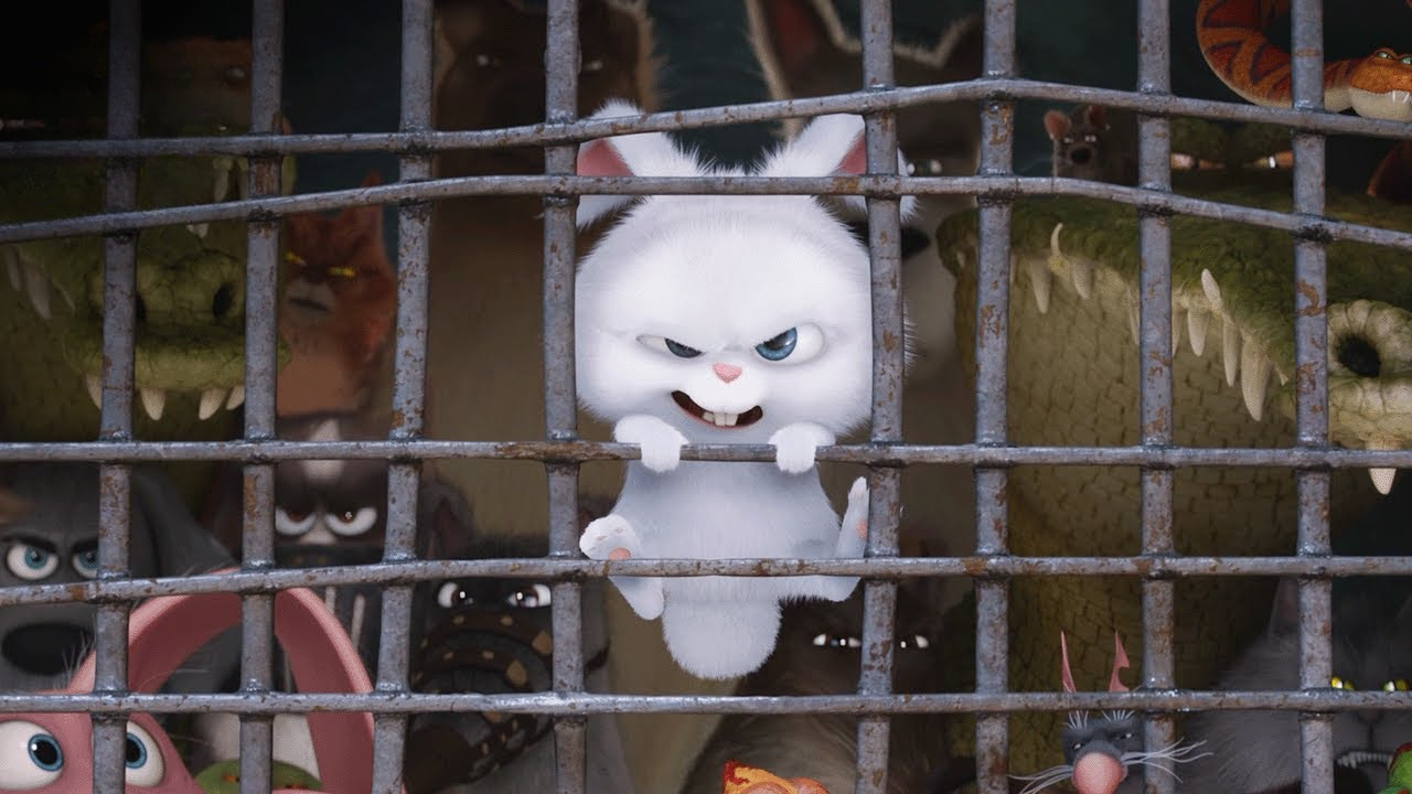 Max and Duke escape | The Secret Life of Pets