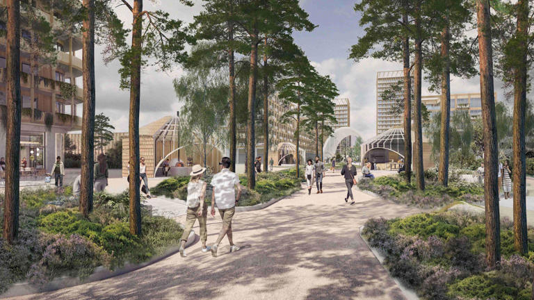 Parties back Metrocentre scheme but raise concerns