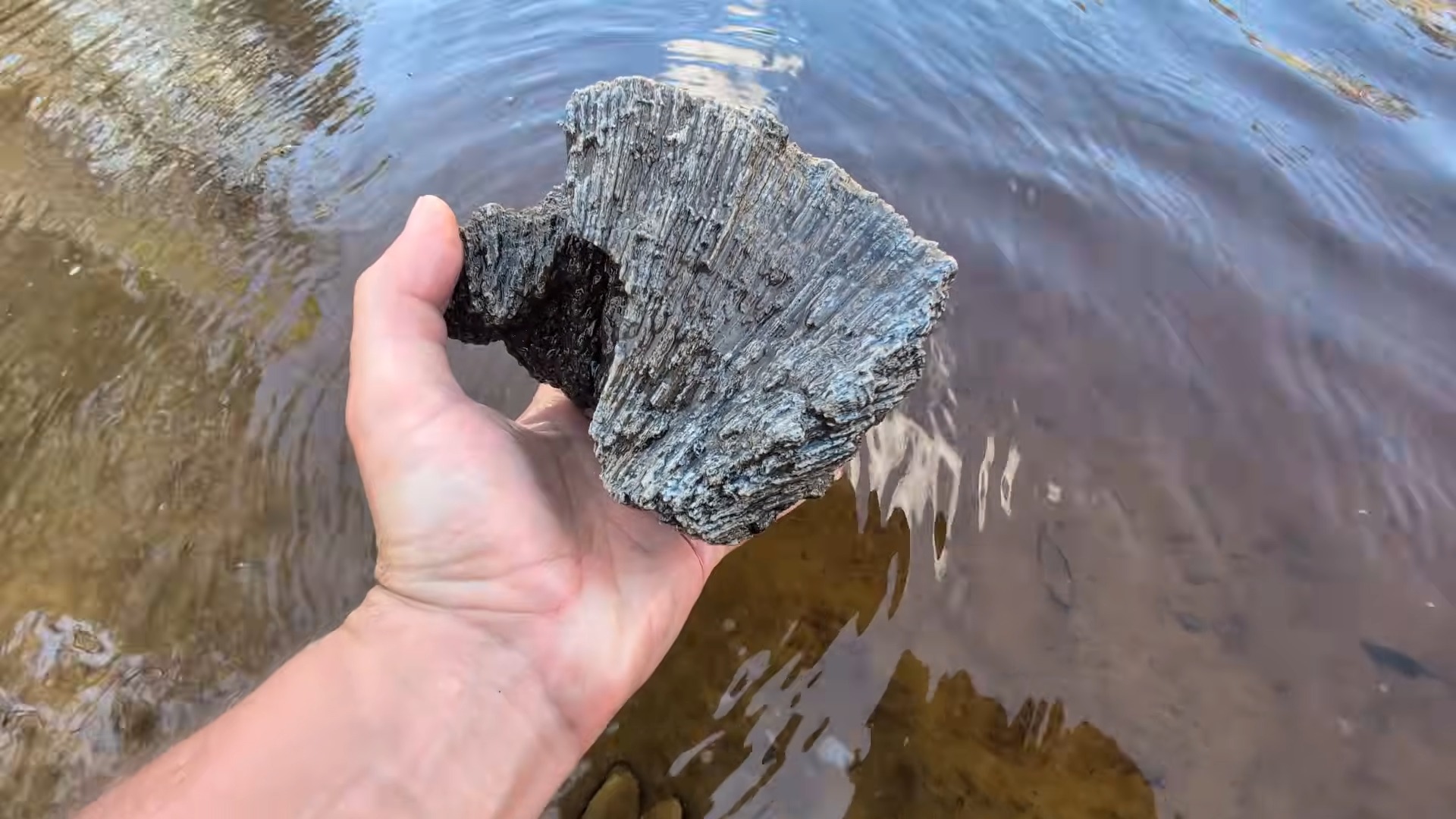 He was exploring a Florida river - then he found a tiny horse tooth ...