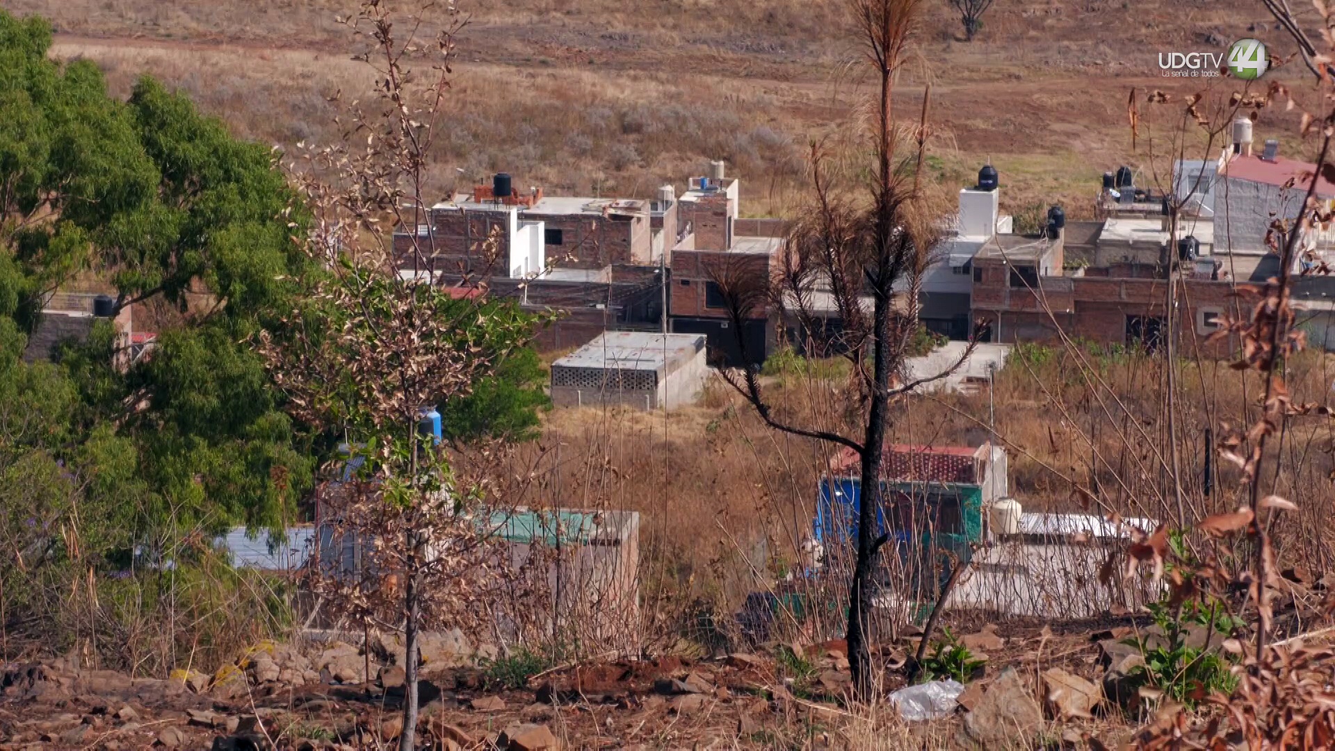 Piden frenar obras en las faldas del cerro de la Reina