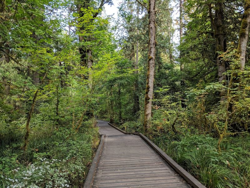 10 beginner-friendly hikes in Oregon where you can spot wildlife in ...