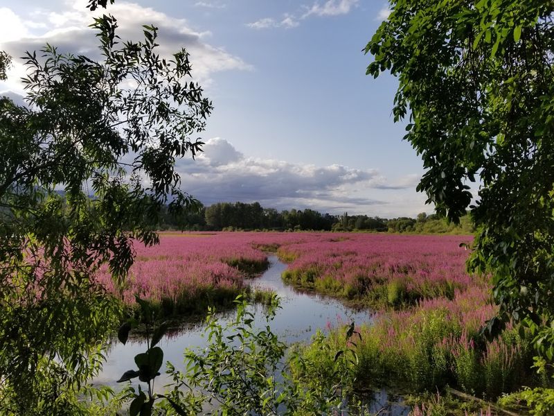 10 beginner-friendly hikes in Oregon where you can spot wildlife in ...