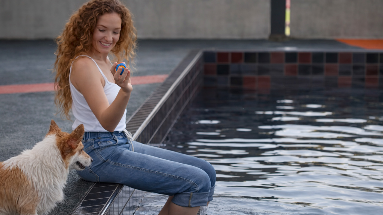 Kijk wat er gebeurt met een hond wanneer een vrouw een bal in het water ...