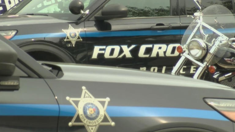 Fox Crossing Police Department seeks information on dogs that attacked ...