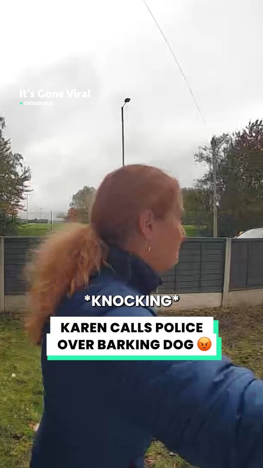 Everyone's dog barks