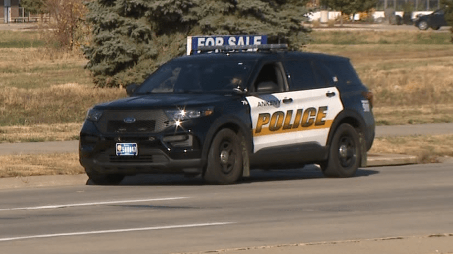 Ankeny woman charged with harboring a runaway, sexual abuse