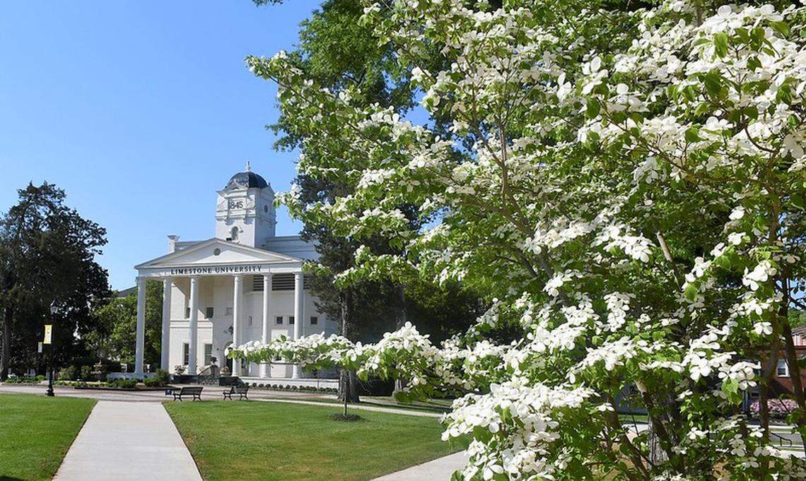 SC charter authorizer agrees to spending freeze at Department of ...