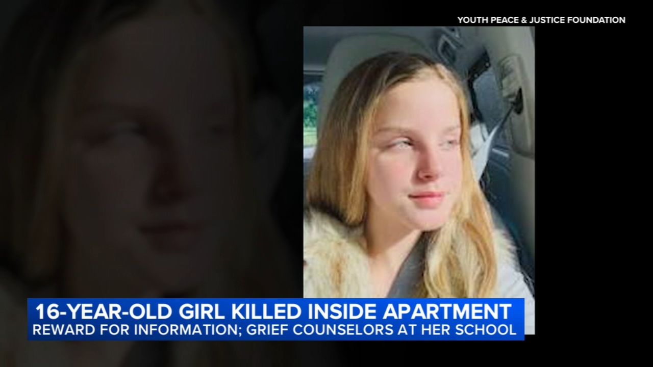Glenbrook South students mourning teen killed in unincorporated ...