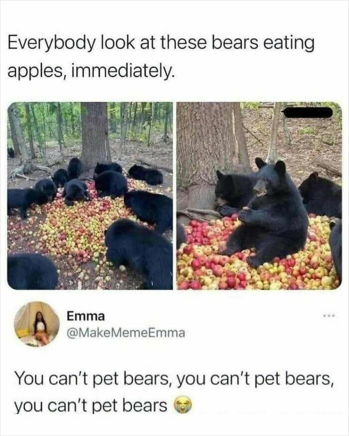 38 hilarious memes that prove women have a great sense of humor