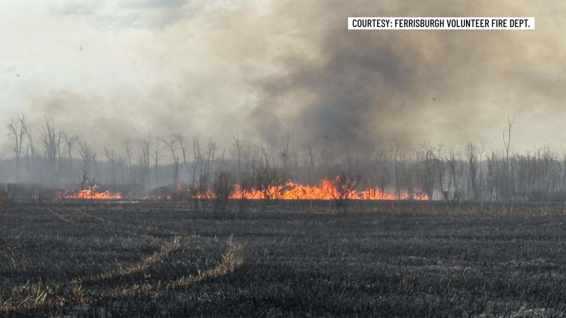 75 firefighters battle brush fire in Ferrisburgh