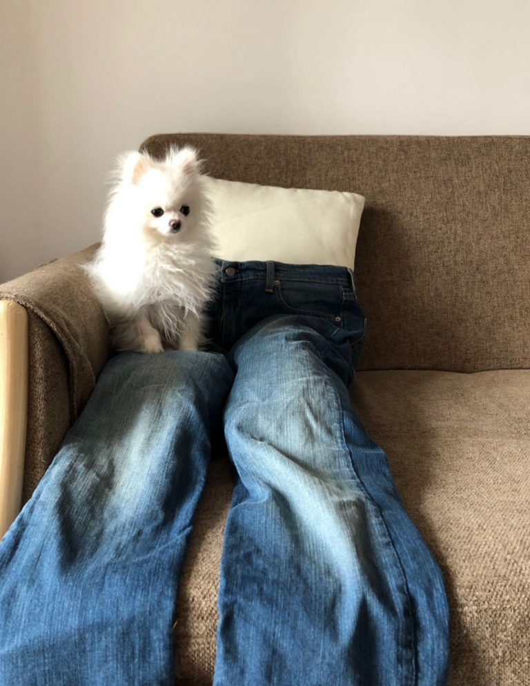 47 Dog Photos That Are Way, Way, Way, Way, Way, Way, Way, Way Funnier ...