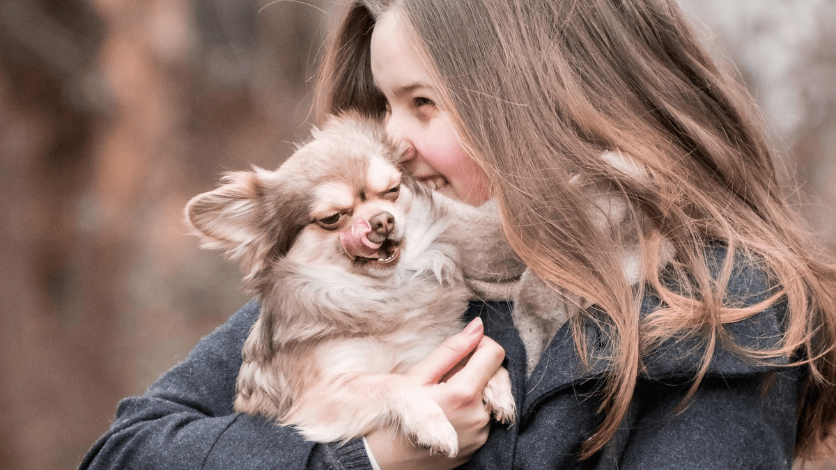 Want a happier dog? These 9 simple routines make a difference