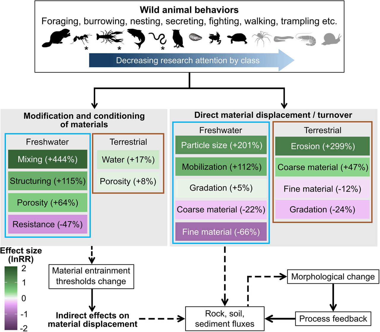 Animals are powerful landscape engineers shaping the Earth's surface ...