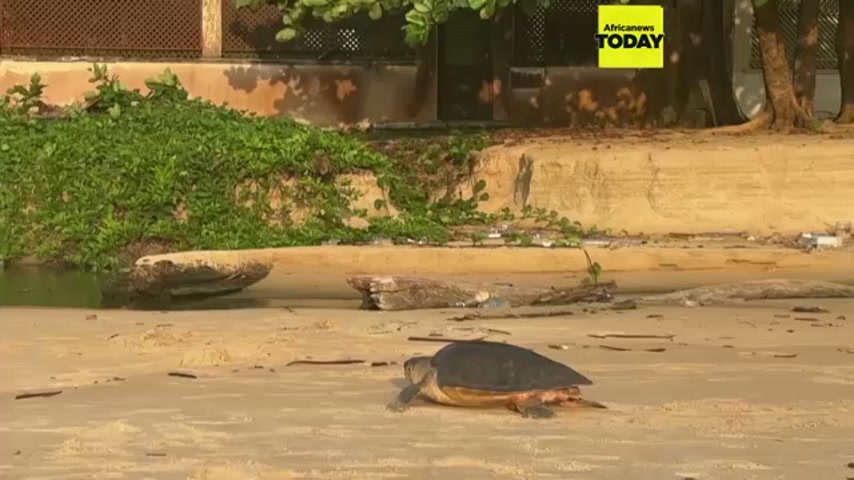 L'impact de la guerre au Moyen-Orient sur les pays africains ...