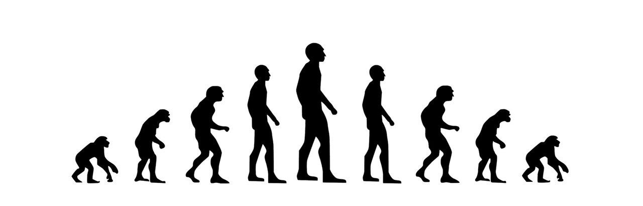 Cornerstone model of evolutionary biology built on math flaw, study argues