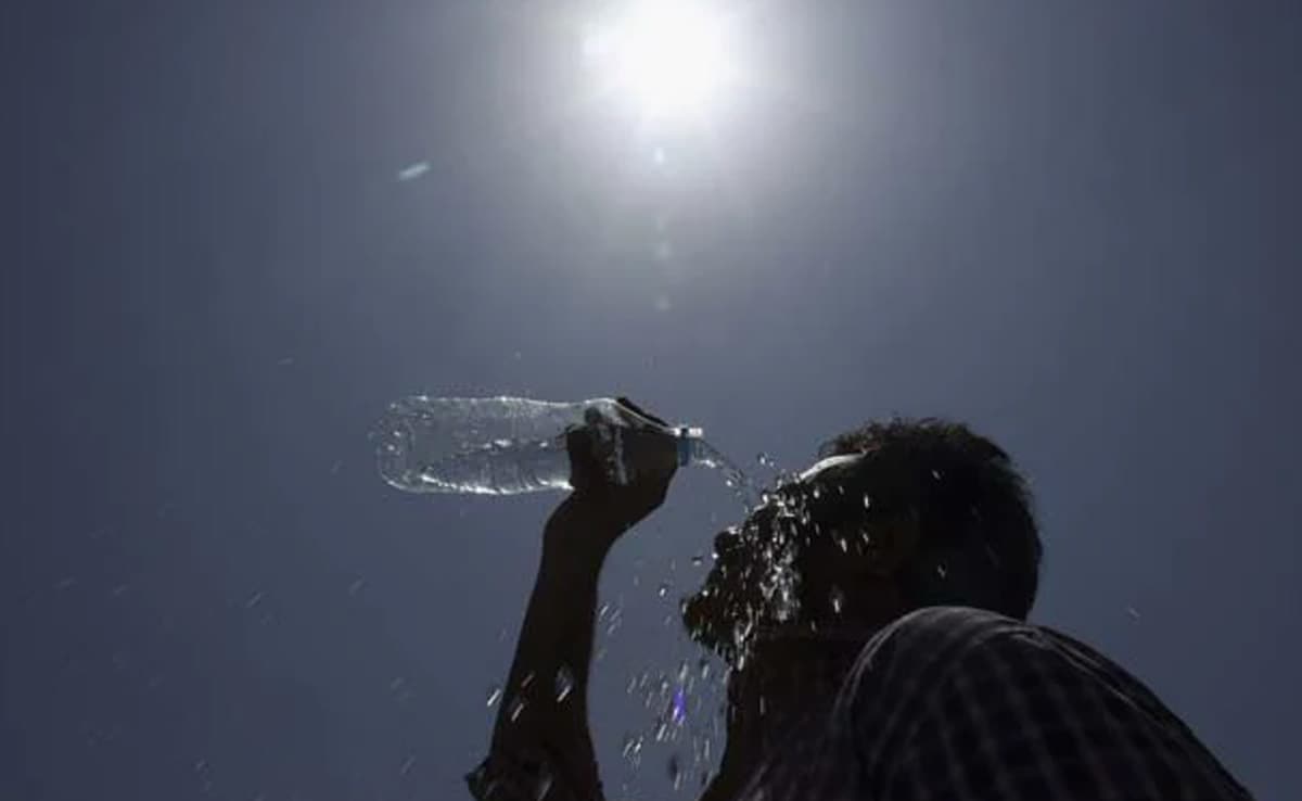 Water shortage to tanker issues: Delhi's summer action plan to tackle heat