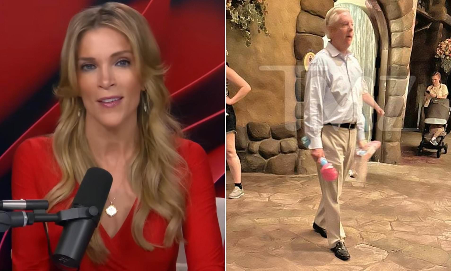 Megyn Kelly eviscerates warmonger Lindsey Graham for going to Disney ...
