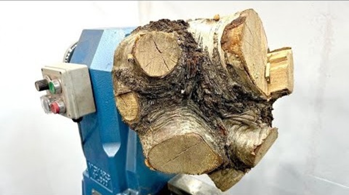 What Happens When You Turn a Giant Wood Chunk