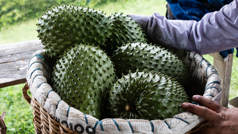 What is soursop and what does it taste like?