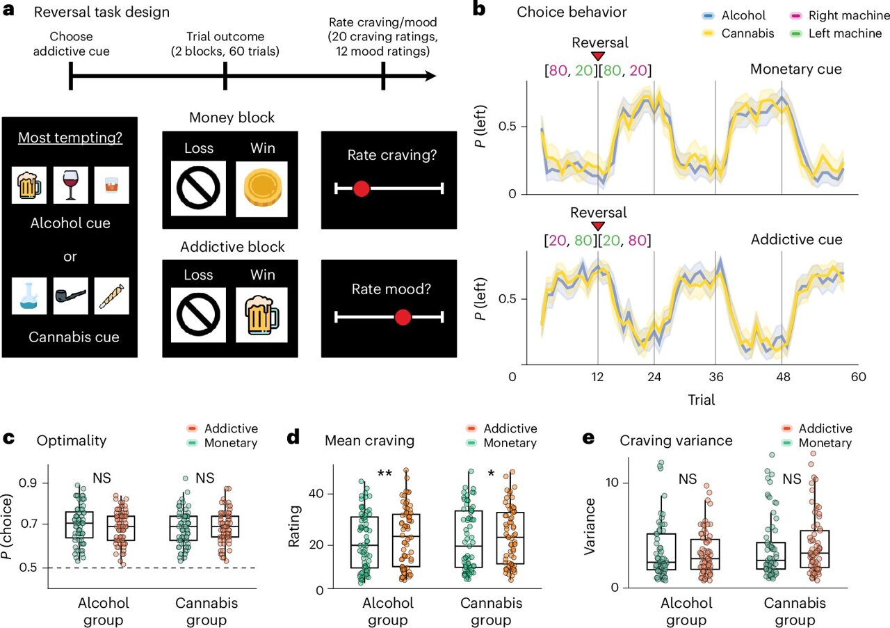 Craving in addiction may alter how the brain makes decisions