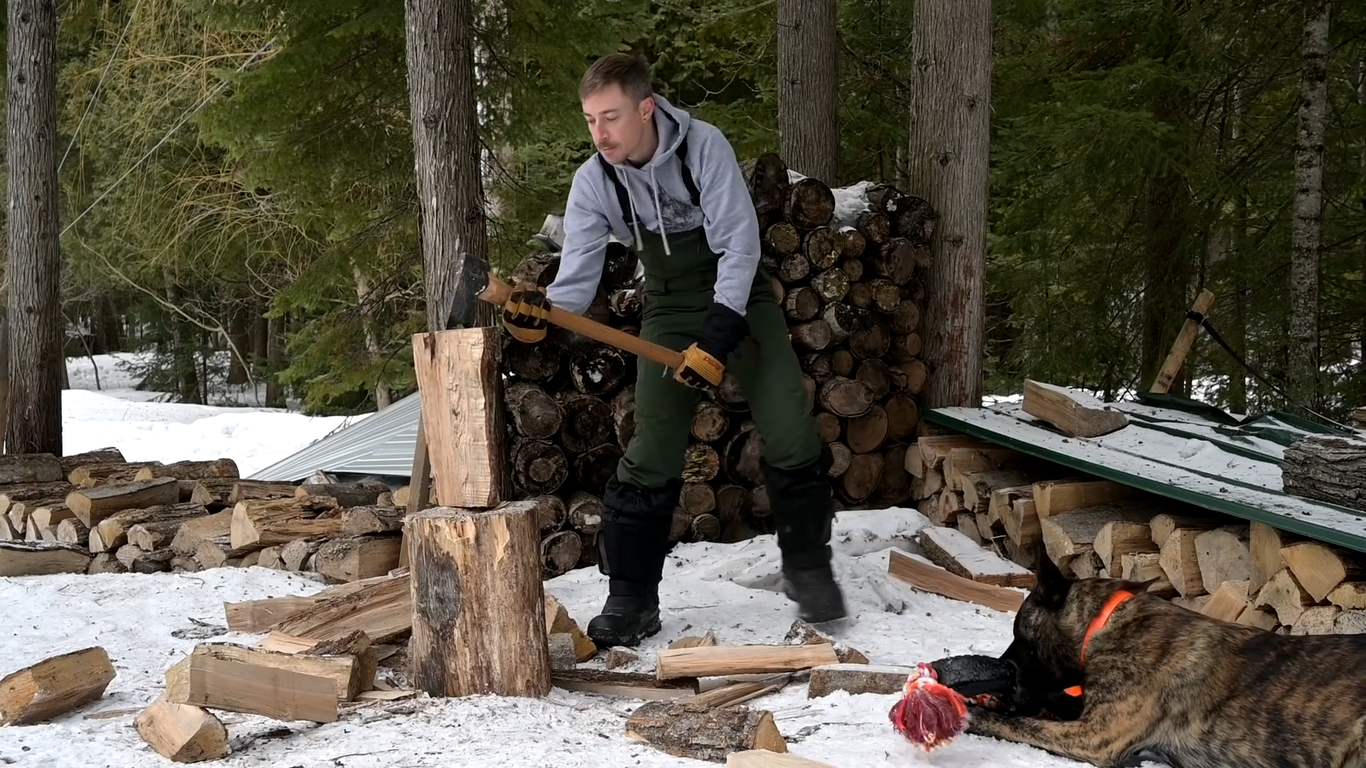He tried to split massive logs - then the axe nearly hit back