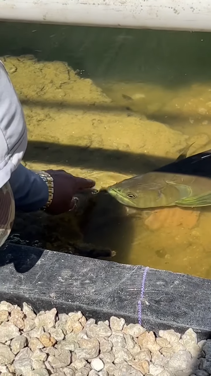 He challenged him to try it... and instantly regretted it