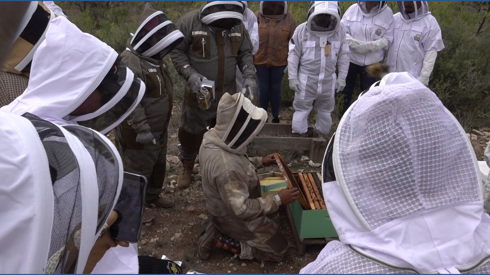 Beekeeping 101: Inside the hive