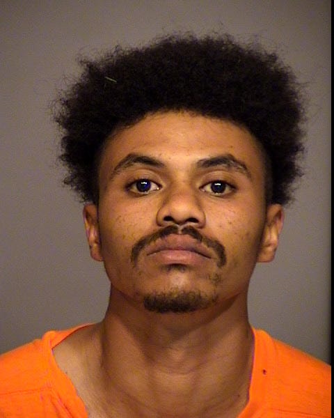 Updated: Newbury Park man gets minimum sentence in brother's death