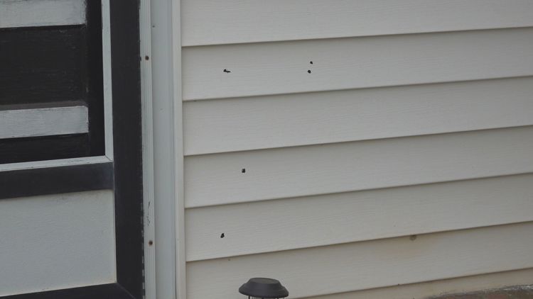 Residents concerned as Winnsboro experiences multiple shootings; police ...