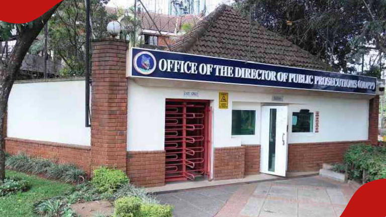 Office of the Director of Public Prosecutions posts 233 job vacancies ...