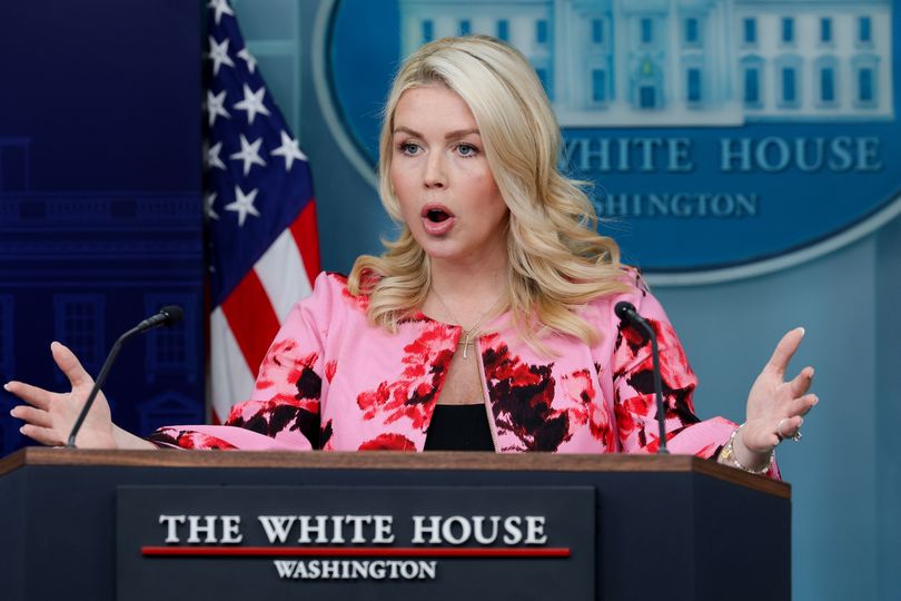 Fox News fans fume 'she's out of her mind' at Karoline Leavitt's ...