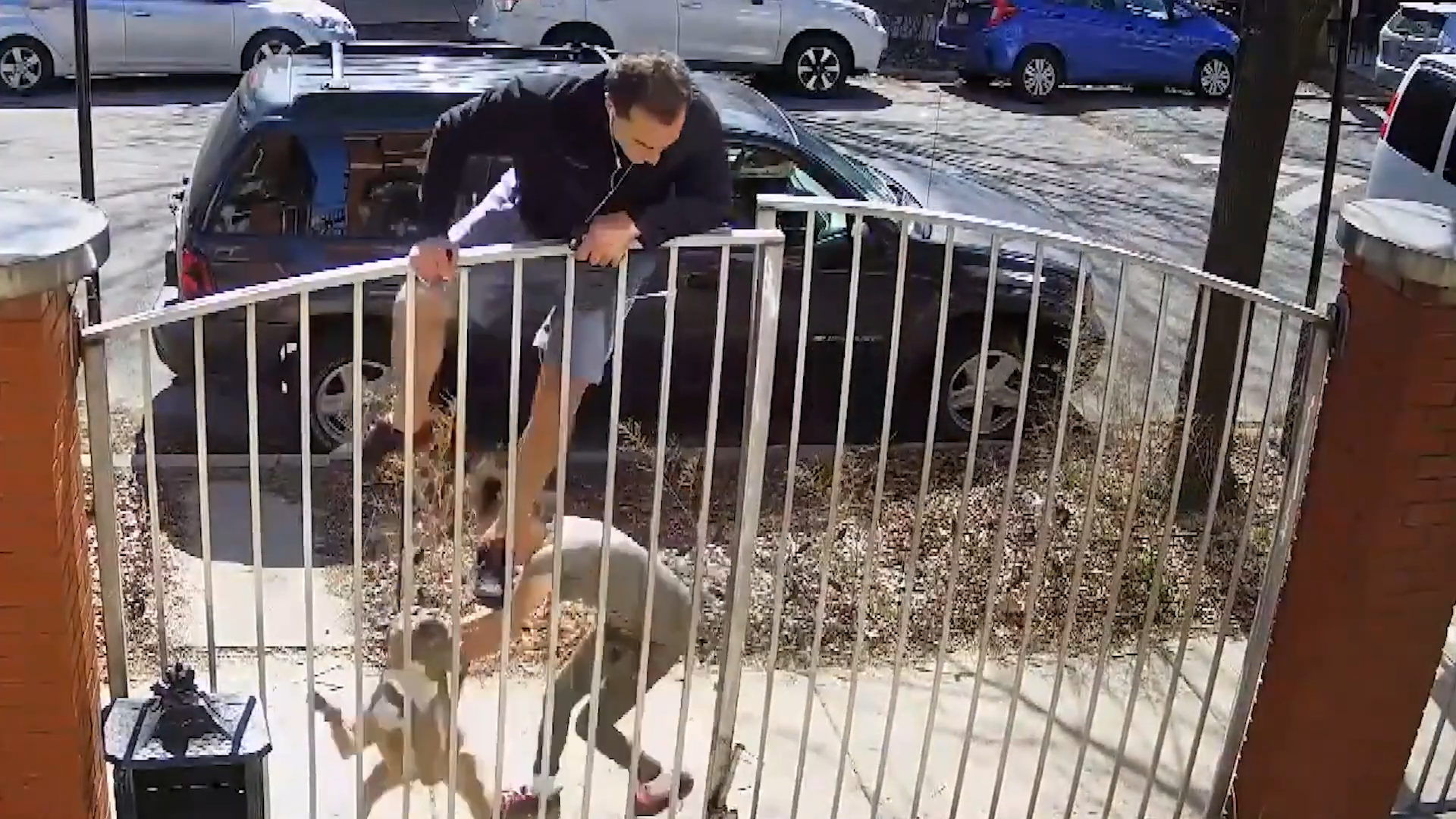 Schau, was passiert, wenn ein wütender Hund angreift – „Pass auf!“